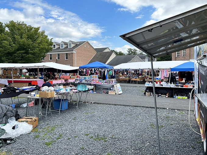 Under blue skies and white tents, Pocono Bazaar's outdoor vendors create a maze of possibility. Every table holds someone's future conversation piece.
