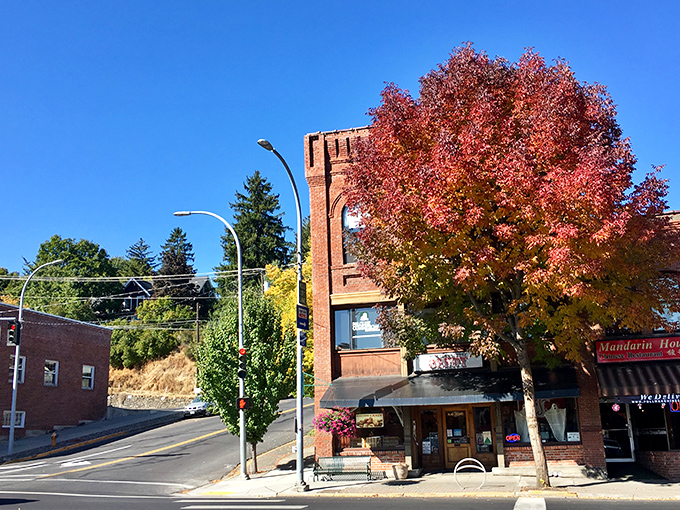 Autumn transforms this college town into a Norman Rockwell painting with brilliant fall colors.