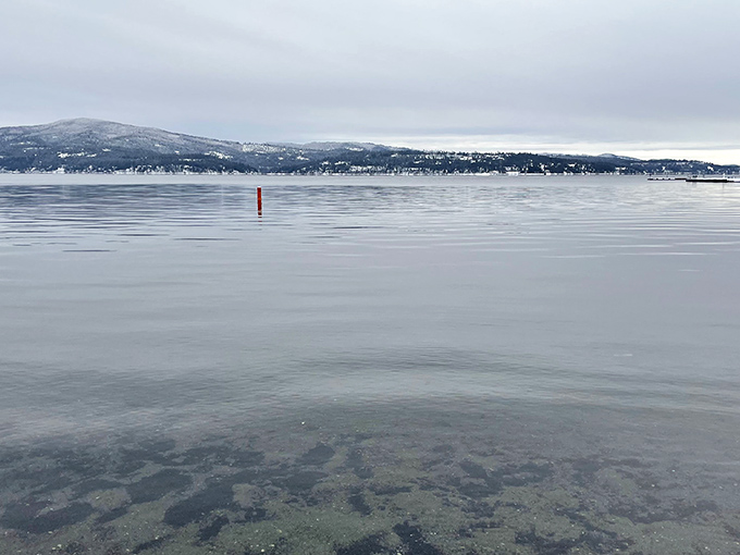 Winter's chill can't diminish the beauty. Even in cooler months, this lake view reminds us why we call Idaho home.