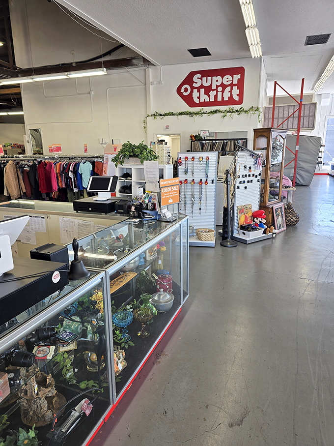 Sometimes the best finds sit right outside, waiting for eagle-eyed shoppers to spot them. 