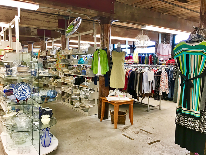 Treasures arranged with care! East Bay's thoughtfully displayed merchandise turns secondhand shopping into a delightful discovery experience.
