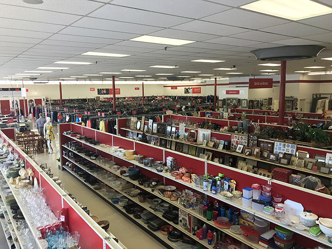 A bird's-eye view of Salvation Army's meticulously organized interior. Like a department store, minus the sticker shock!