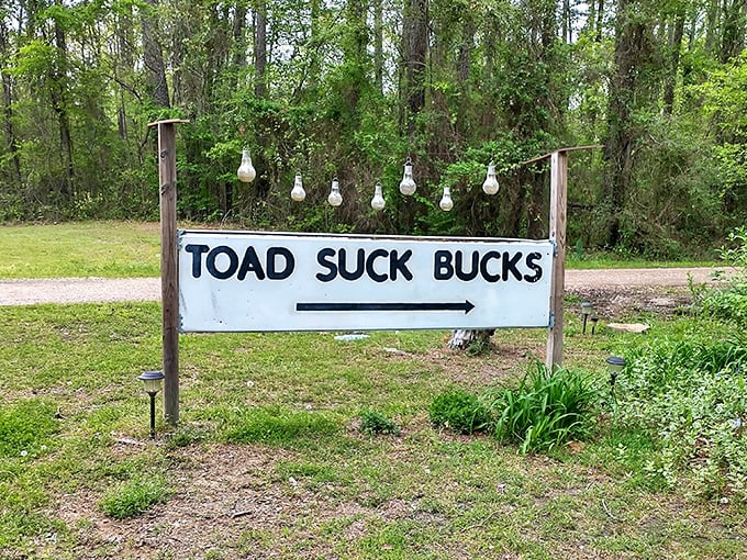 Follow the string lights to steak paradise. This sign points to one of Arkansas' most charmingly named treasures.