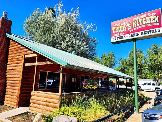 "World Famous" might seem bold, but Trudy's Kitchen backs it up. This rustic Idaho City spot makes chicken worth traveling mountain roads to find.