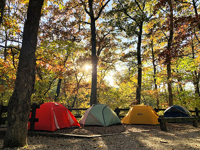 Fall camping at Wallace State Park: where the trees provide both shade and a spectacular color show above your tent.