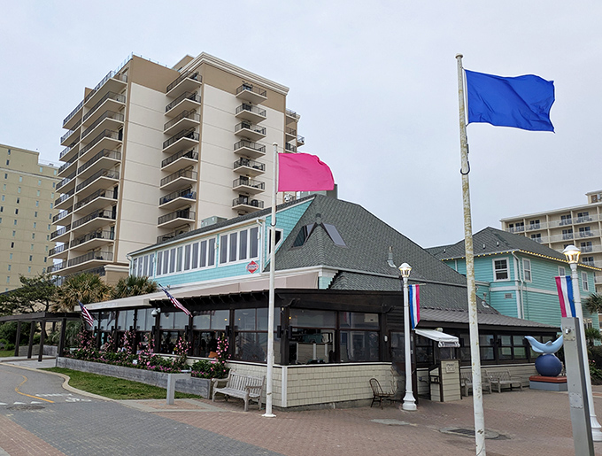 This oceanfront gem captures Virginia Beach's laid-back vibe in every sun-soaked plank and sea-breezed moment.