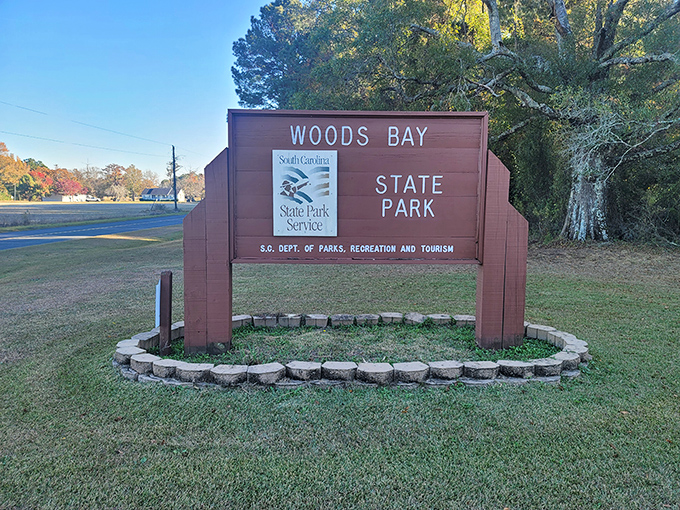 That boardwalk leads straight into a world where time moves slower and worries disappear.