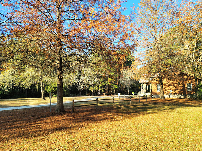 Autumn colors paint the landscape in brilliant oranges and golds, better than any artist's palette.