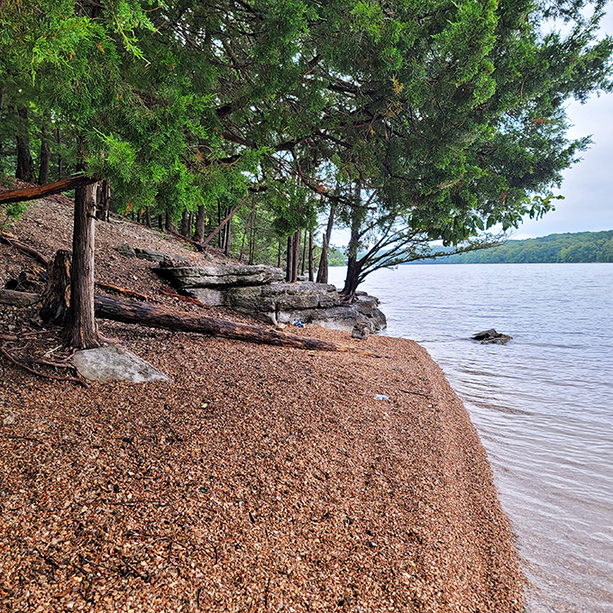 Cedar trees stand guard over this rocky shoreline, creating a scene straight from a watercolor painting.