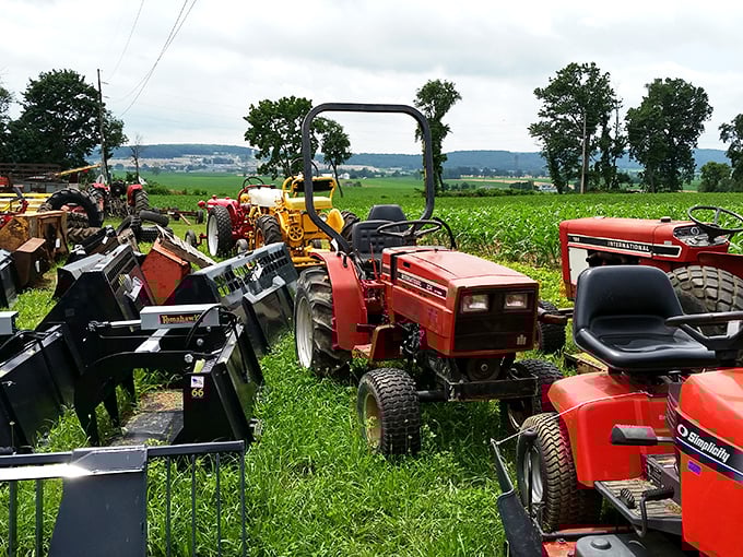 A graveyard of tractors or a playground for farm equipment enthusiasts? These mechanical workhorses await new homes where they'll either be restored to glory or put back to work.