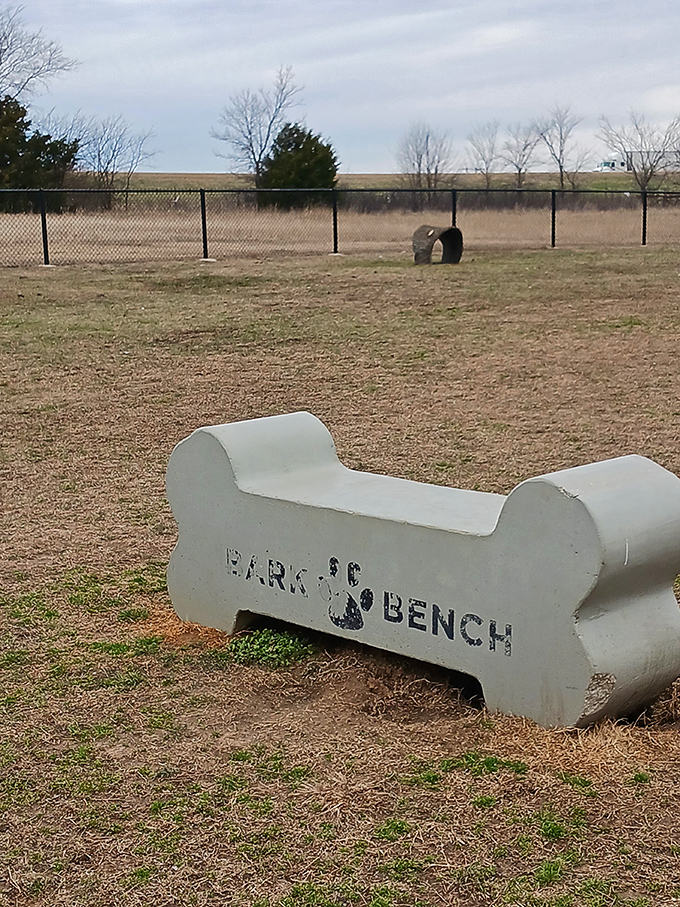 Even four-legged friends get VIP treatment in Ardmore, where this bone-shaped bench says, "Your dog deserves better than the backyard."