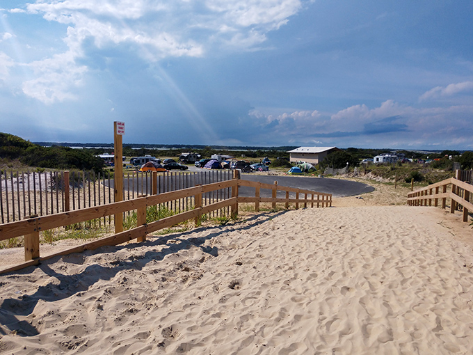 Sandy pathways lead to Assateague's beaches where wild horses roam free and your biggest decision is which novel to crack open first.