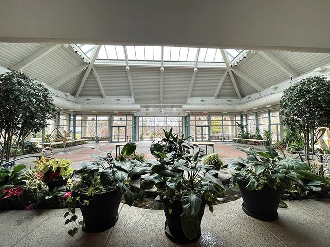 The atrium where tropical plants live their best life while you escape whatever weather Virginia's throwing today.