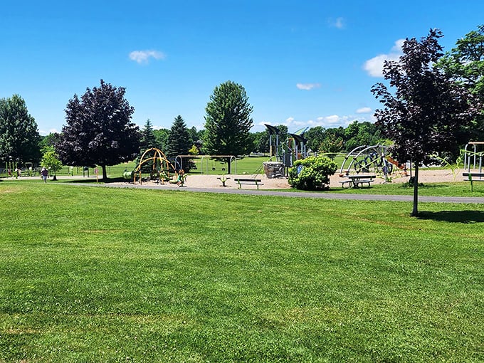 Austin Park's playground and green spaces offer a perfect energy-burning station for kids who've had one too many bakery treats.