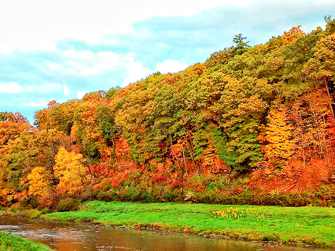 Fall foliage in Brookville rivals New England's famous displays, but without the tourist crowds. Nature showing off its wardrobe before winter arrives.