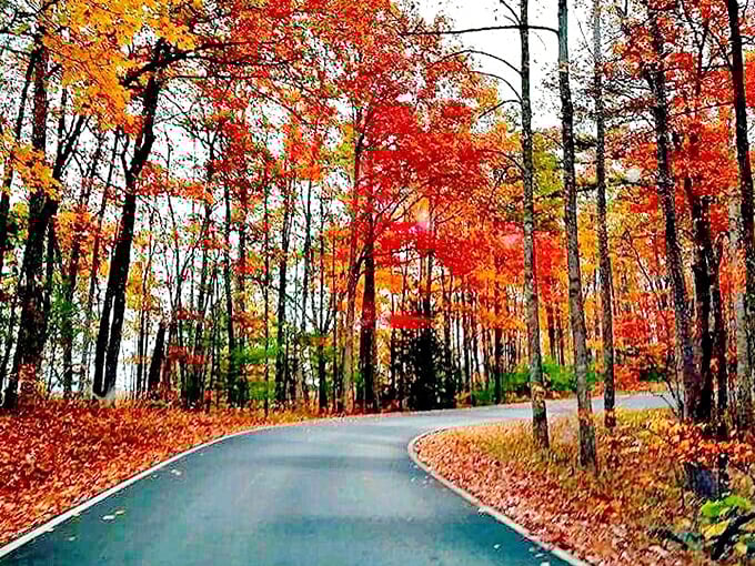 Fall in Kentucky isn't just a season&mdash;it's a spectacular show that makes New England leaf-peepers wonder if they've been visiting the wrong theater.