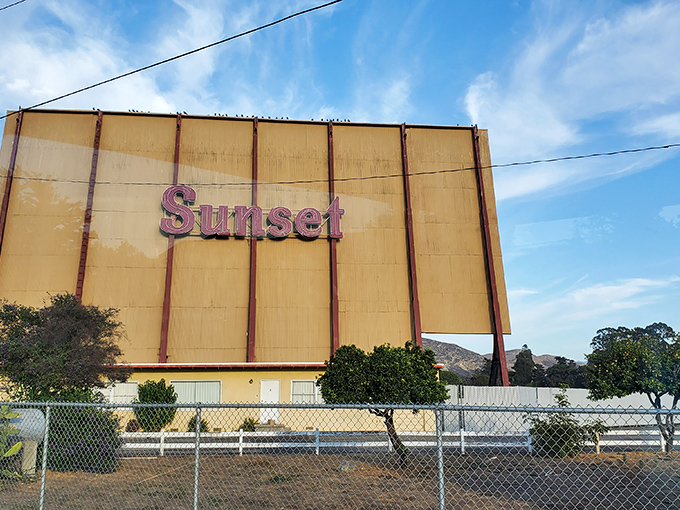 The weathered yellow backside of the screen bears the "Sunset" name proudly, a landmark that's witnessed countless California sunsets.