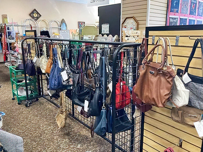Handbags dangling like fashion possibilities, each one ready to carry your stuff without emptying your checking account.