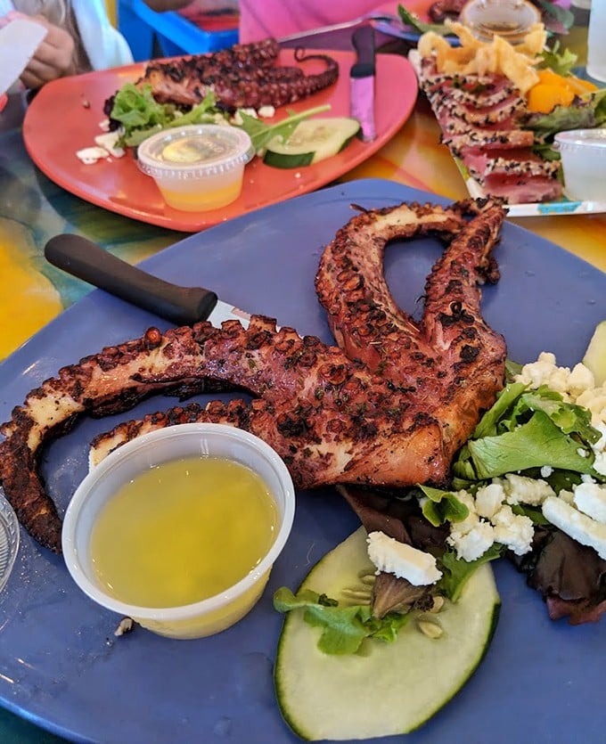 Octopus that looks like it graduated from culinary school with honors, perfectly charred and ready for its close-up.