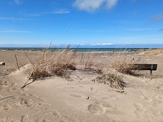 Erie's beaches deliver that "wait, we're still in Pennsylvania?" moment, where sandy shores and endless horizons make you forget you're lakeside, not oceanside.