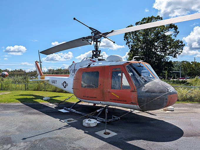 An impressive lineup of naval aircraft stands at attention, like a class reunion of mechanical warriors sharing stories of their glory days patrolling the skies.