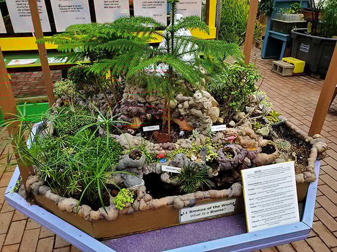 A miniature world contained in one display! This biome exhibit packs more ecological diversity into six feet than some states manage in thousands.