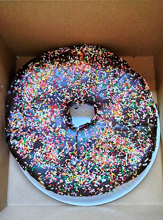This chocolate-frosted donut with rainbow sprinkles isn't just breakfast&mdash;it's a celebration waiting to happen. Even Tuesday mornings deserve confetti sometimes.
