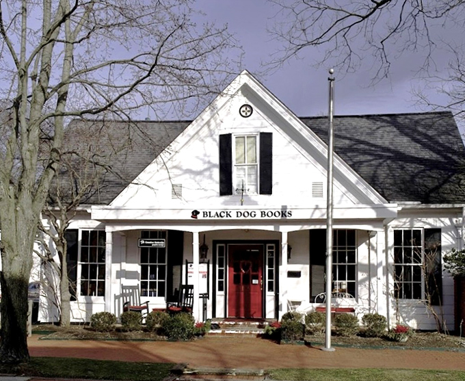 Black Dog Books' charming cottage exterior promises literary treasures inside&mdash;the kind Amazon algorithms can never quite replicate.