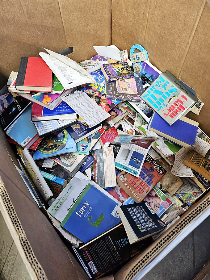 Another literary goldmine where children's picture books mingle with cookbooks and forgotten academic tomes.