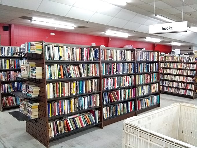 The book section rivals small-town libraries, offering literary journeys for pocket change. Bestsellers of yesteryear patiently waiting for new readers.