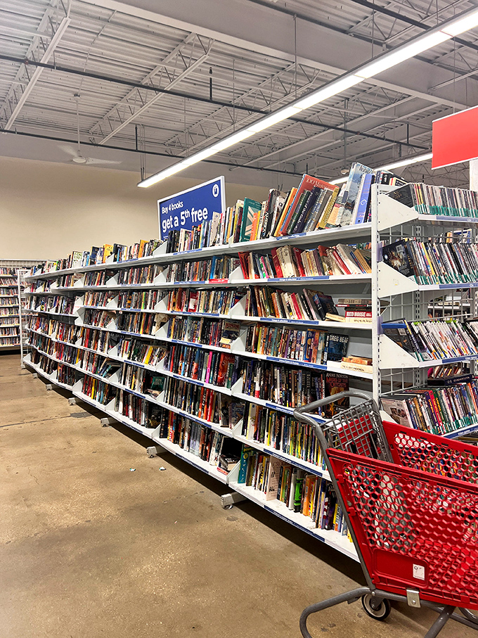 A bibliophile's dream where literary treasures await new homes. That paperback thriller costs less than the coffee you'll drink while reading it.