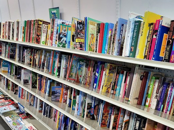 The literary corner—where bestsellers retire and wait for their encore performance. Beach reads and cookbooks sharing shelf space like old friends at a reunion.