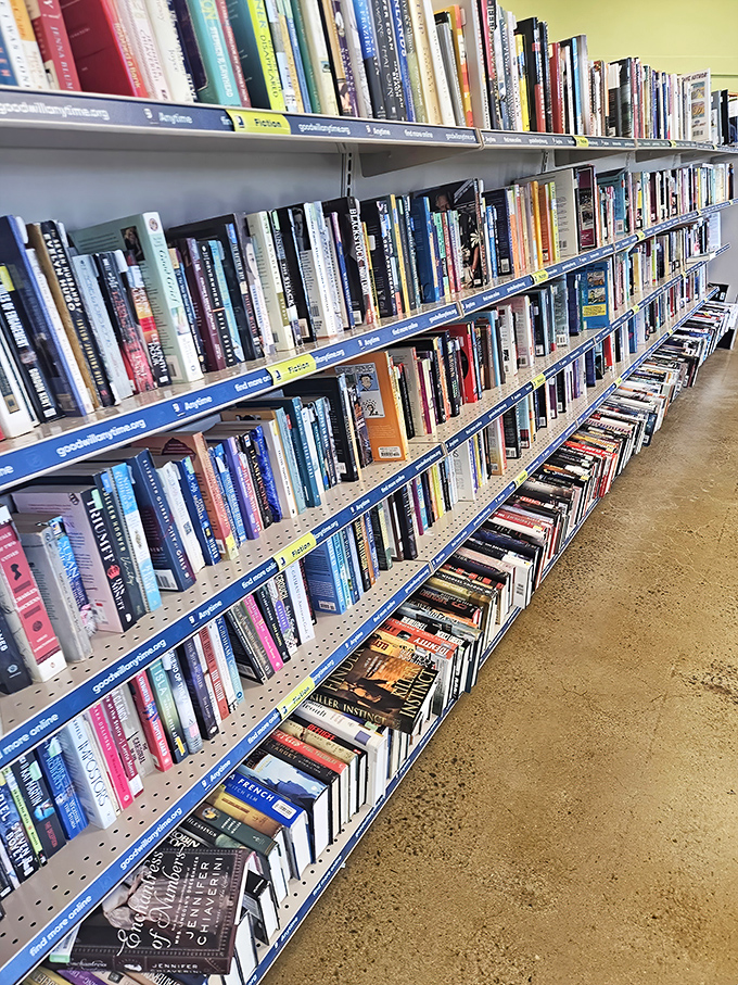 A literary buffet where Stephen King shares shelf space with forgotten bestsellers. This paper playground offers mental journeys for less than a cup of coffee.