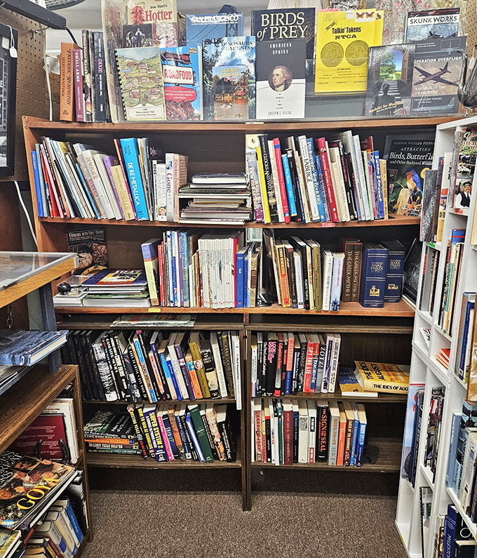 Books stacked like geological layers of knowledge&mdash;each shelf a different era of thought, bound in paper and waiting for curious minds.