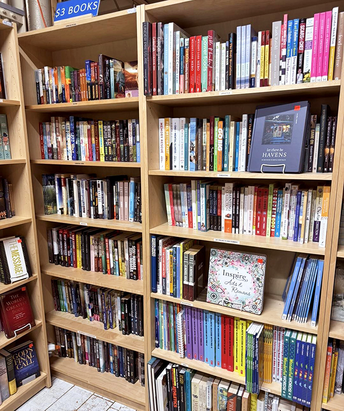 A bibliophile's dream come true! These shelves hold worlds within worlds, each book waiting to share its stories with a new generation.