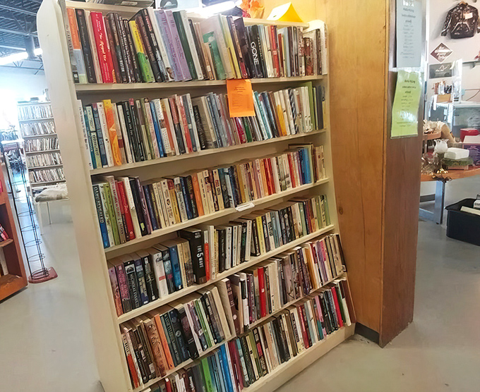 The book section: a library without late fees where literary treasures and forgotten bestsellers stand shoulder to spine, waiting for their next reader.