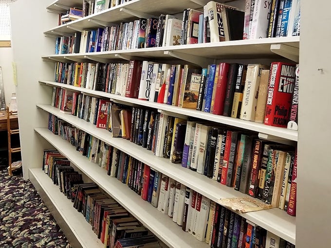 The book section: where forgotten bestsellers and timeless classics share shelf space, all carrying that intoxicating old-book smell no candle has ever captured.