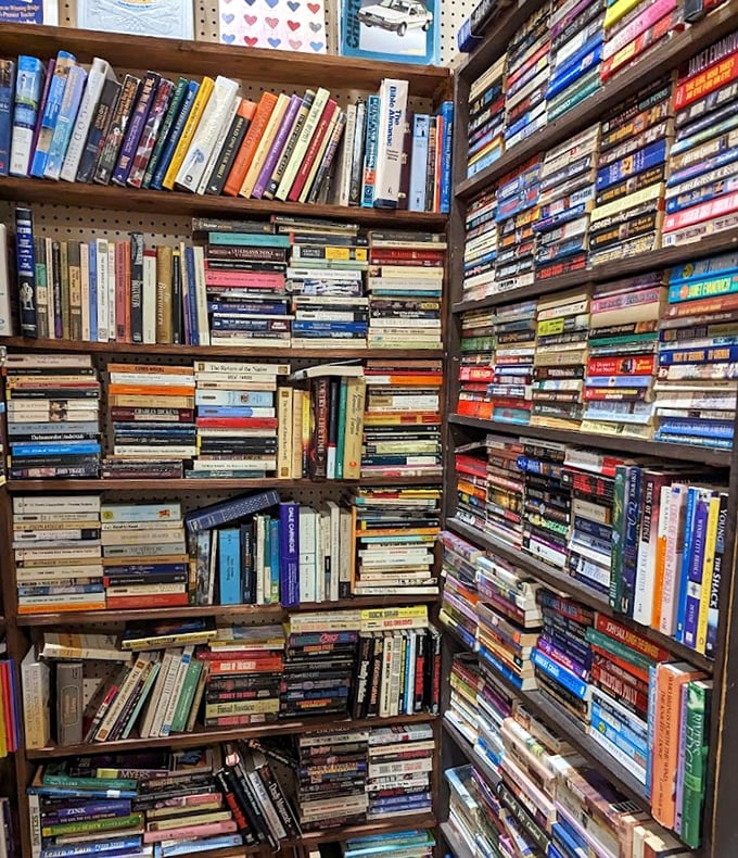A bibliophile's dream corner where dog-eared paperbacks and forgotten bestsellers create walls of worlds waiting to be reopened.