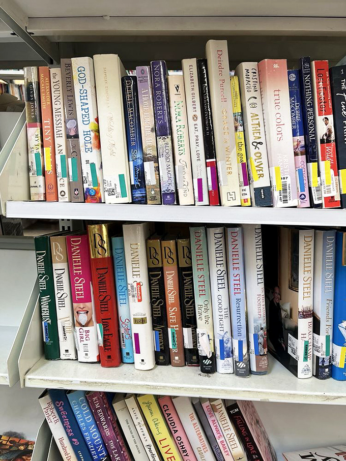 Books crowd the shelves like literary refugees seeking new homes, each spine holding stories waiting for their next reader.