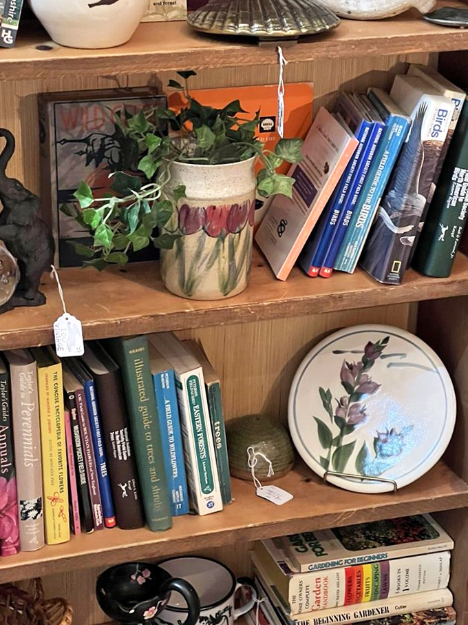 Books and plants&mdash;the original home accessories before "influencers" made it a thing. This shelf holds gardening wisdom from simpler times.