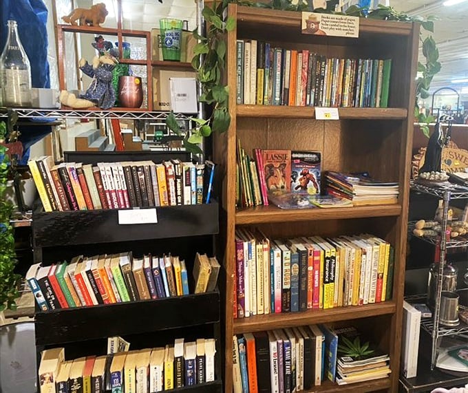 Shelves packed with books offer escape routes from reality at prices that won't require you to refinance your house.