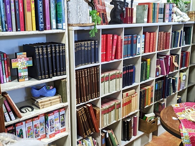 Books that have outlived their original owners stand in silent formation, their spines a colorful timeline of literary history.
