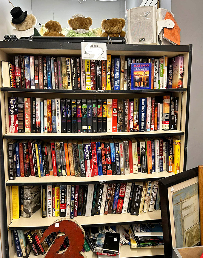 Bibliophiles rejoice! These shelves hold literary treasures from bestsellers to obscure gems, all waiting for their next chapter.