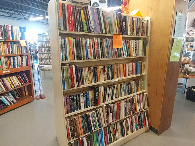 Bookshelves packed tighter than your grandmother's memory collection, offering literary escapes without the sticker shock.