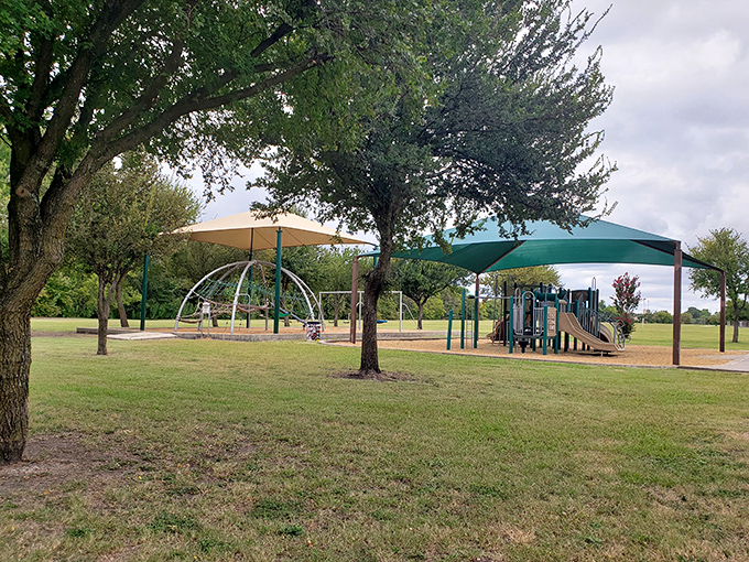 Brown Singleton Park offers shaded respite under Texas skies. Those canopies aren't just blocking sun&mdash;they're sheltering generations of family picnics and first kisses.