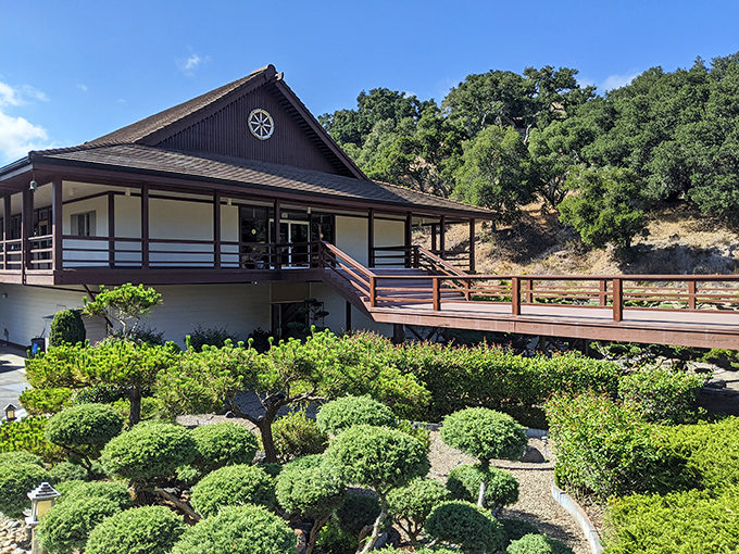 Serenity now! This Japanese-inspired garden offers a peaceful counterpoint to beach activities. Proof that Avila knows how to balance excitement with zen.