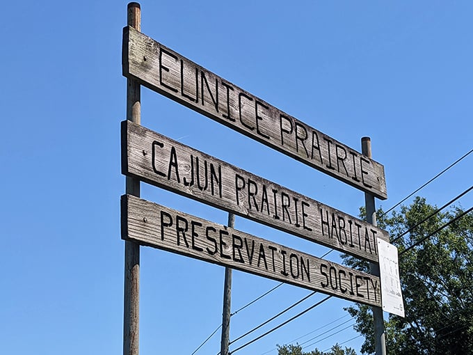 The weathered sign of the Cajun Prairie Habitat Preservation Society stands as a testament to Eunice's commitment to its natural heritage.