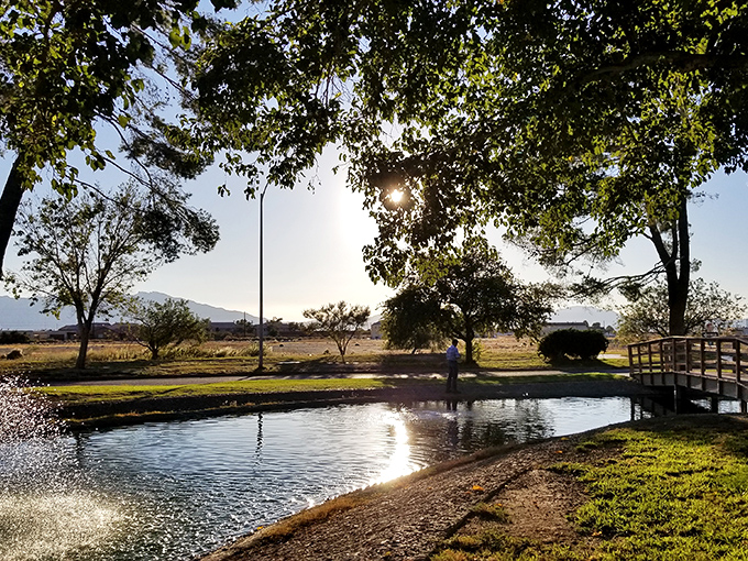 Tranquility has an address, and it includes this serene pond. Sunlight dances on water while mountains keep watch in the distance.