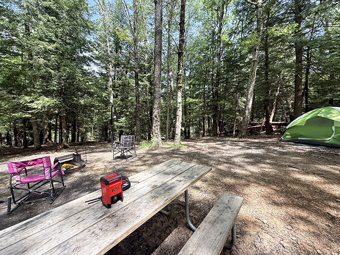 Five-million-star accommodations! This peaceful campsite offers the kind of tranquility that makes you forget passwords and remember dreams.