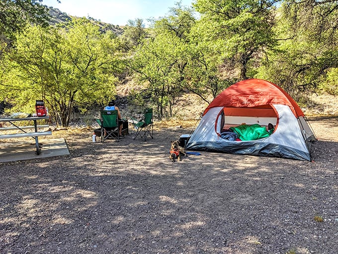 Camping nirvana&mdash;where your morning coffee comes with a side of birdsong and mountain views that Instagram filters can't improve.